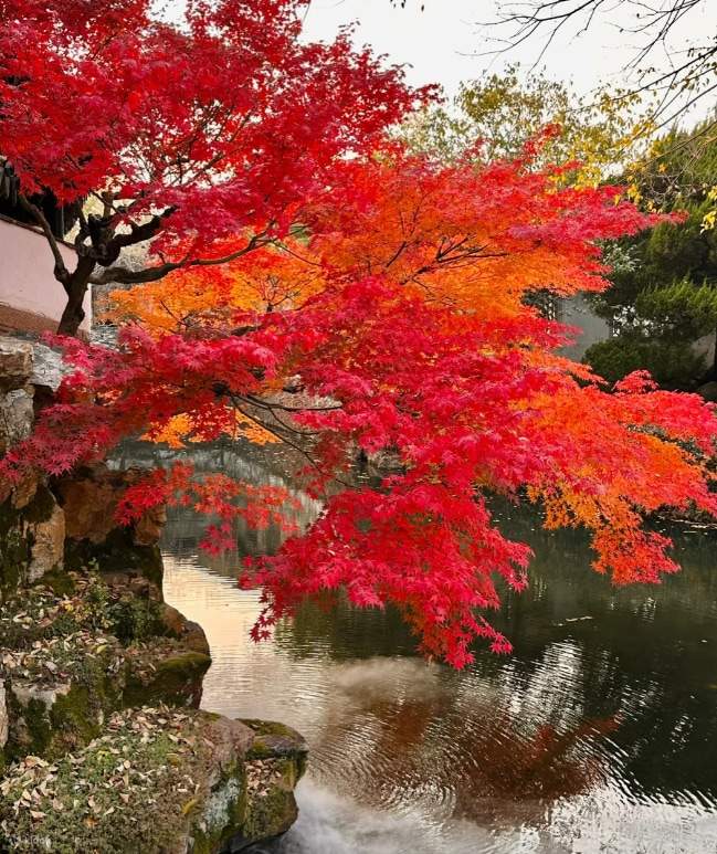 Suzhou 2-Day Tour (Humble Administrator's Garden + Zhouzhuang Ancient ...