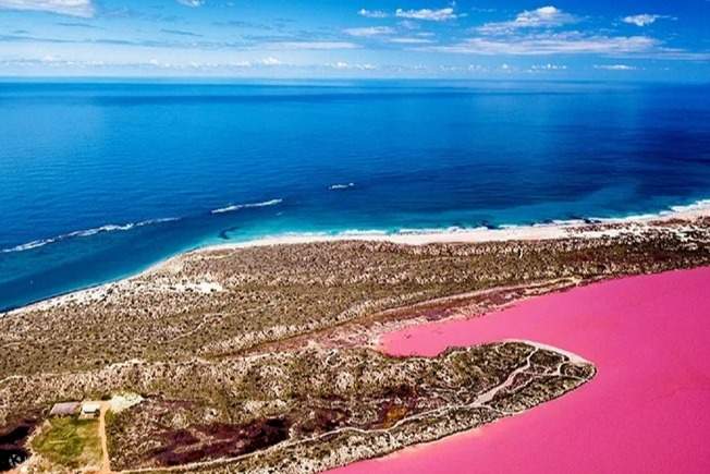 Pink Lake Tours & Activities at Hutt Lagoon - Klook