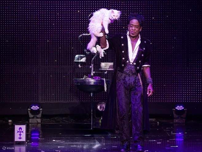 All Stars of Magic Show at Planet Hollywood Resort and Casino - Klook ...