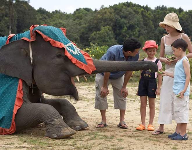 Safari Lagoi & Eco Farm Tour - Klook Singapore