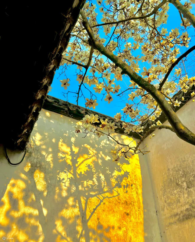 Suzhou 2-Day Tour (Humble Administrator's Garden + Zhouzhuang Ancient ...