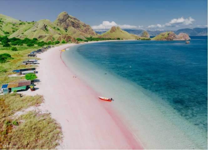 Full Day Komodo Speedboat Join-in (Sharing) Tour in From Labuan Bajo ...