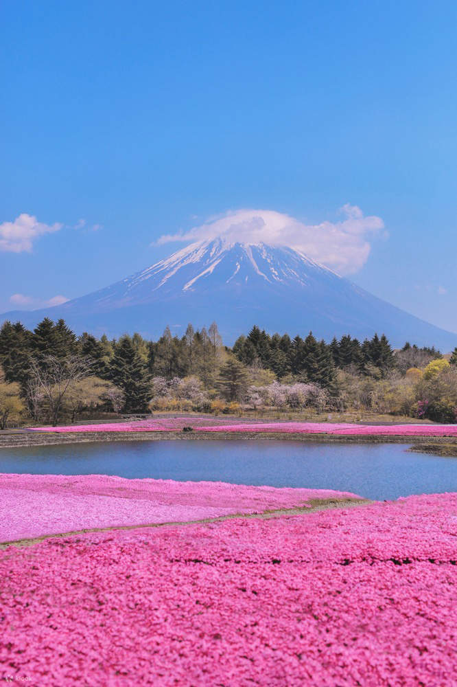 Kawaguchiko and Yamanakako Onsen on a 1-Day Bus Tour from Tokyo - Klook