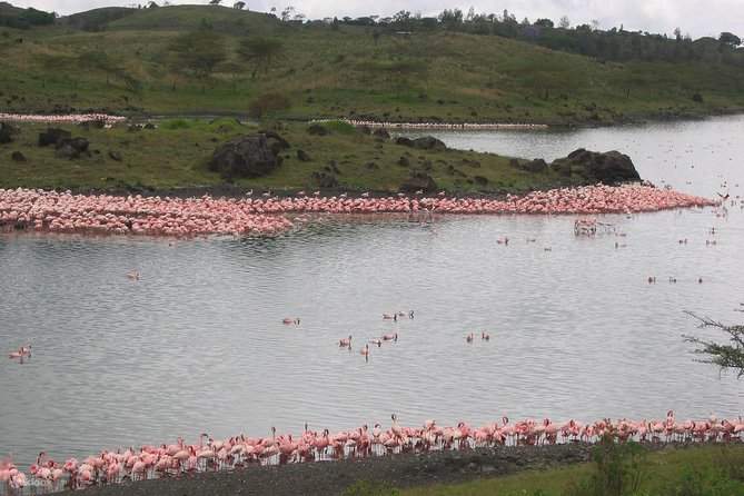 Canoeing Momella Lake in Arusha National Park: An Unforgettable ...