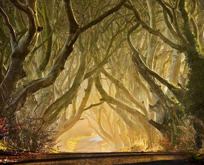 Explore Game of Thrones Filming Locations on Iron Islands & Giant's ...
