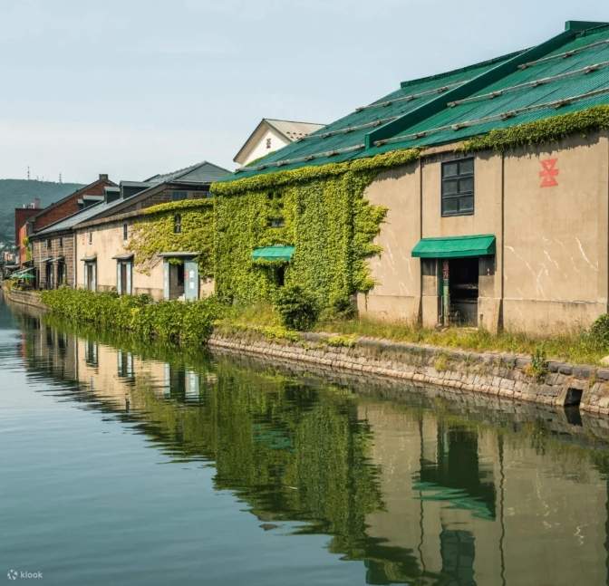 Hokkaido Secret Tour Cape Kamui One-Day Tour | Cape Kamui & Shimabui ...