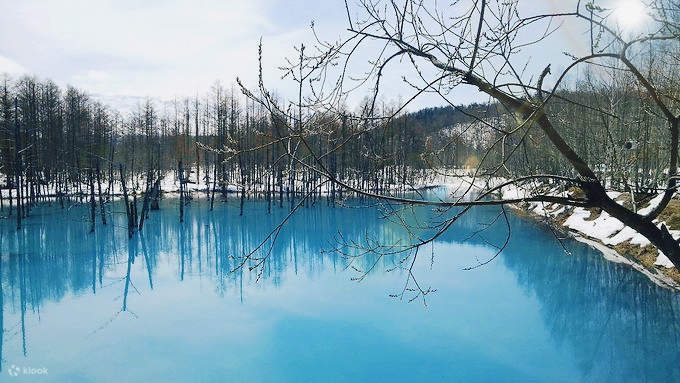 Hokkaido Spring Overture | Round Trip from Sapporo Furano & Biei Town ...