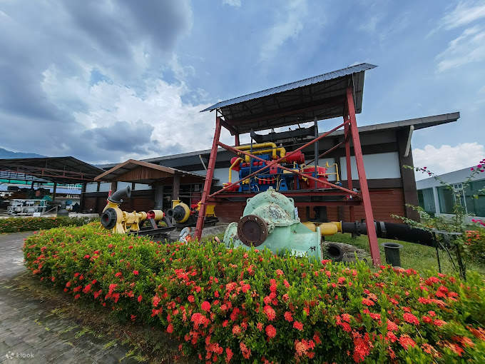 Ultimate Perak Nature Expedition – Eco Adventure & Wildlife Tour in ...