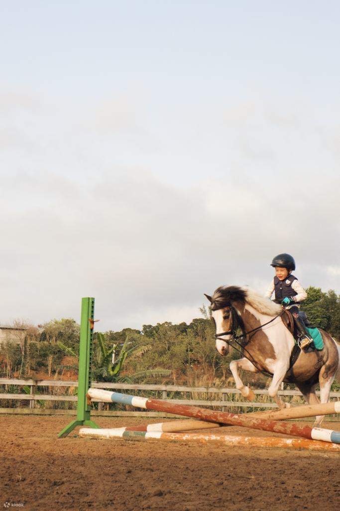 New Taipei: Equestrian Experience Course - Klook