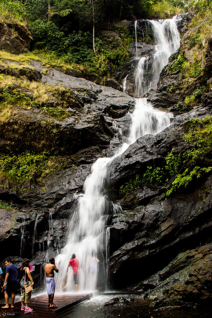 Wisata bersepeda ke air terjun Iruppu dan perkebunan teh Coorg - Klook ...