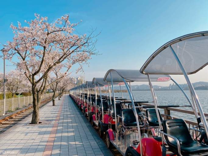 Jebu Island Sea Sightseeing Cable Car+Uiwang Railbike+Starlight Village ...