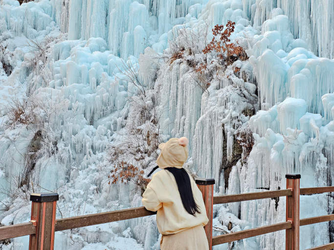 Eobi Ice Valley & Alpaca & Strawberry & Nami & Lighting Festival ...