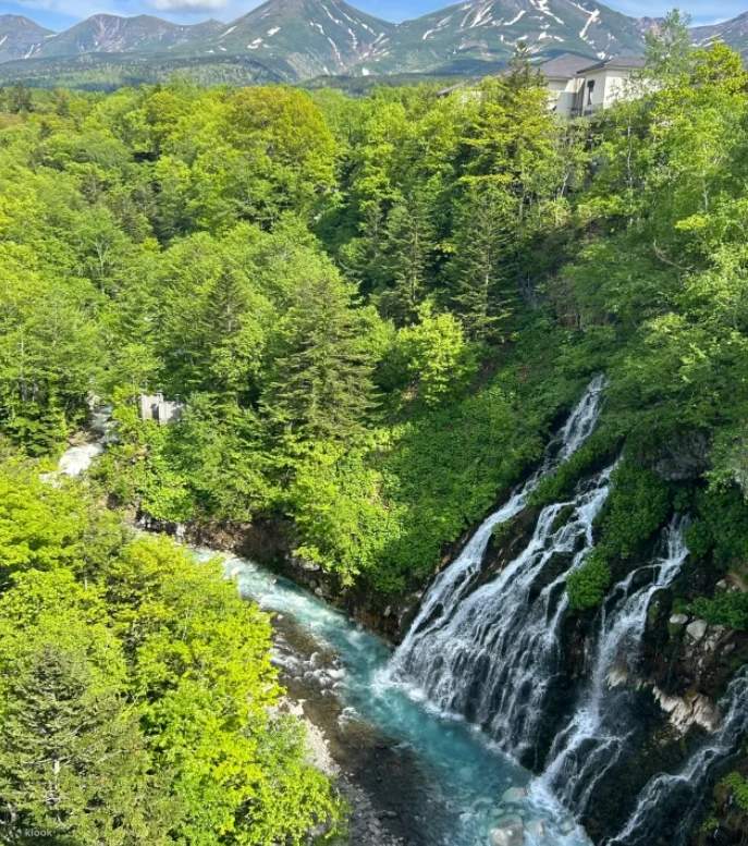 Hokkaido Biei and Furano Day Tour | Roller Coaster Road + Shikisai-no ...