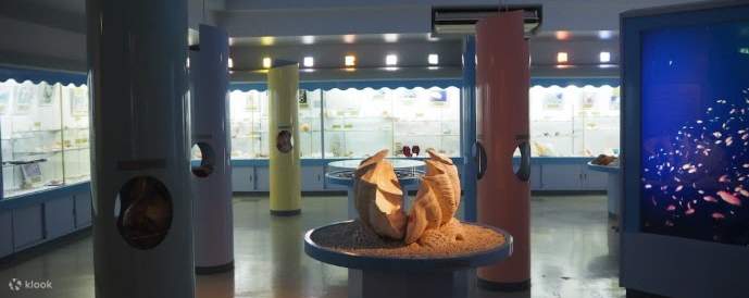 Miyakojima Kaihokan Shell Museum ticket - Klook