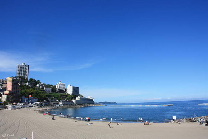 MOA Museum, Atami Sun Beach, and Atami Castle Day Tour (Depart from ...