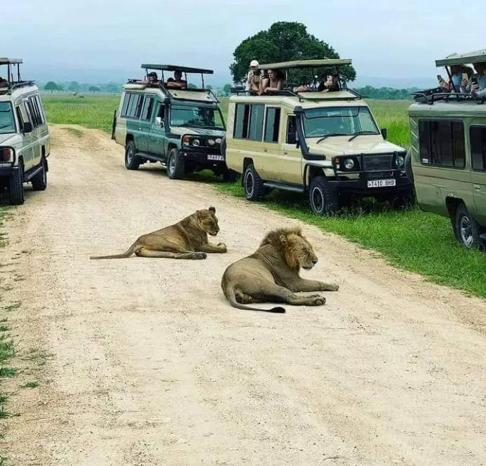 Short Masai Mara Getaway: 2 Days Private Safari from Nairobi - Klook ...