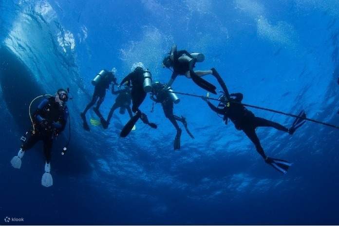 Ultimate 3-Tank Dive Experience in Oahu - Klook Philippines