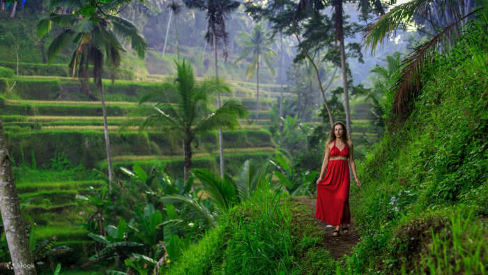 Jungle Kart Experience in Ubud Bali - Klook Australia