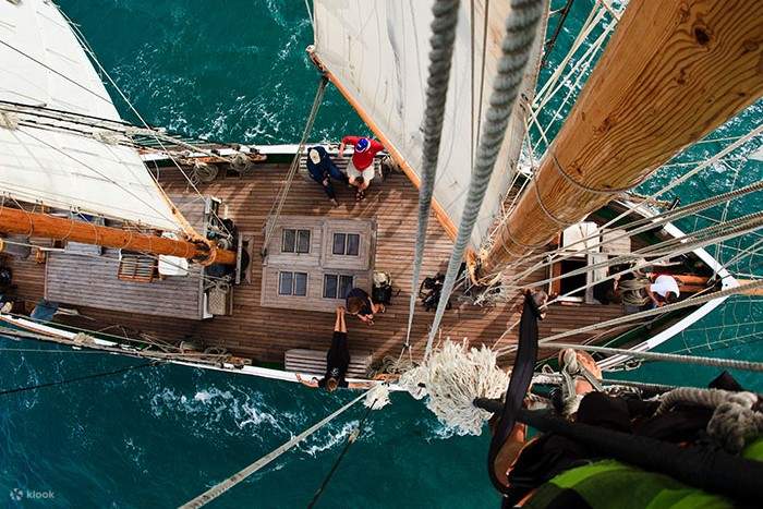 R. Tucker Thompson Sundowner Sail dan Day Sail dari Russell - Klook ...
