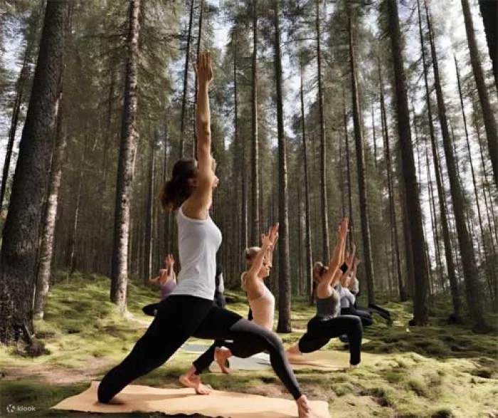 Shinrin-yoku Yoga In Hokkaido Awakening Breath at Hokkaido Shrine ...