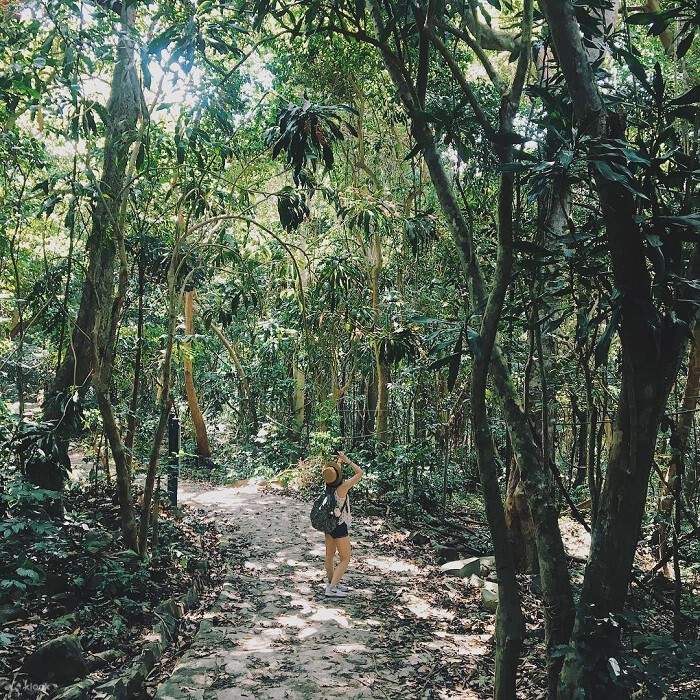 Hiking in Con Dao National Park - Klook