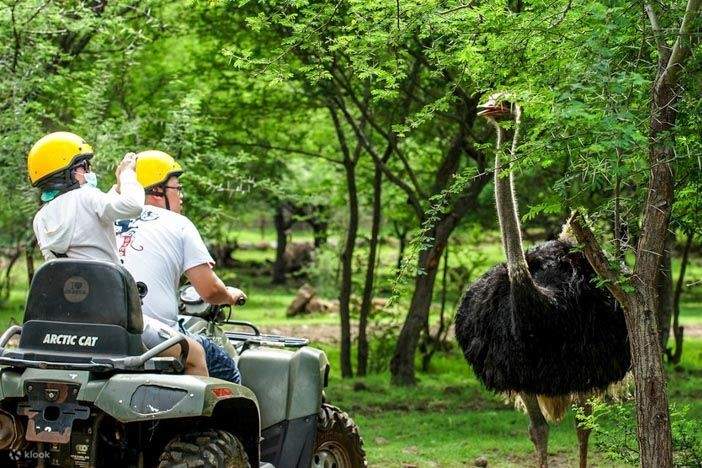 Ermäßigte Eintrittskarten für den Natur- und Freizeitpark Casela ...