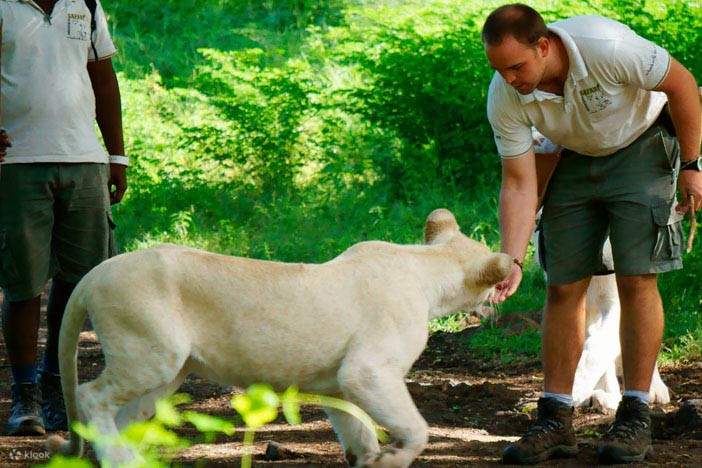Ermäßigte Eintrittskarten für den Natur- und Freizeitpark Casela ...