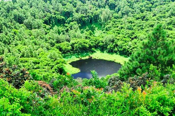 Tour paesaggistico del sud delle Mauritius - Klook Stati Uniti