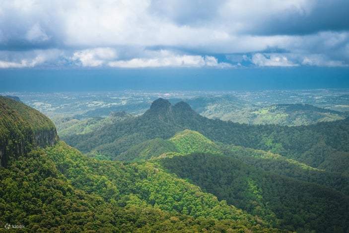 Springbrook National Park and Wildlife Day Tour with Chinese Guide - Klook