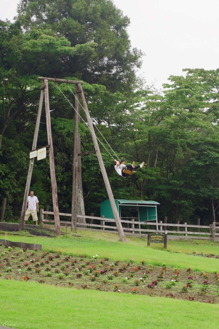 Mount Fuji Family-friendly One-Day Tour: Oishi Park, Lawson Convenience ...