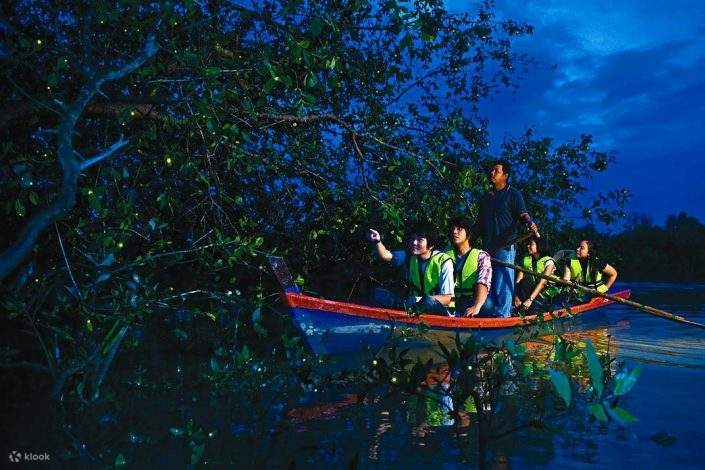 Kuala Lumpur, Putrajaya, Batu Caves, and Fireflies Join In & Private ...