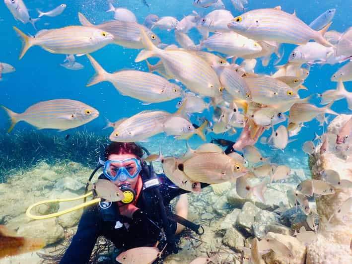 Pengalaman Menyelam Scuba di Kusadasi dengan Makan Siang BBQ dan Antar ...
