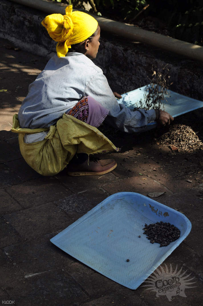 [SALE] Explore Coorg's Coffee Plantations - Ticket KD