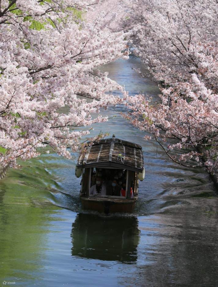 Car Rental with Driver to Kyoto/Kobe/Nara/Tokyo/Osaka/Universal Studios Japan (Depart & return ...