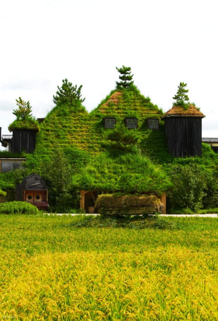 Car Rental with Driver to Kyoto/Kobe/Nara/Tokyo/Osaka/Universal Studios Japan (Depart & return ...