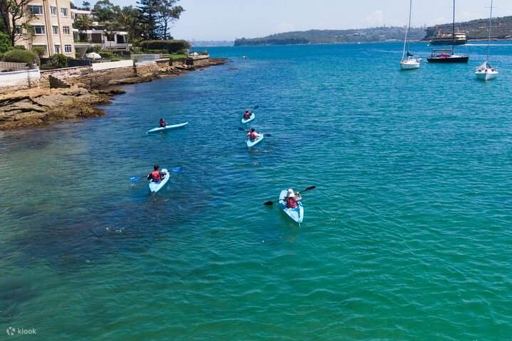 Manly Cove Kayaking Tour - Klook