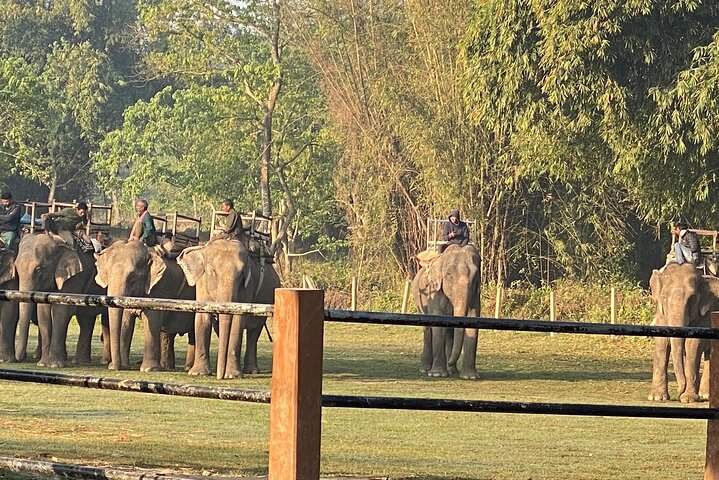 Explore Chitwan National Park: 3-Day Tour from Kathmandu - Klook