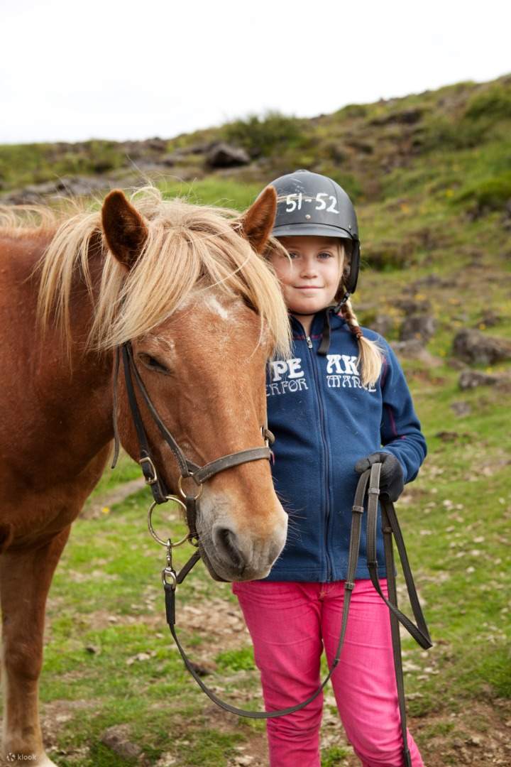 Family Horse Riding Adventure in Hafnarfjordur - Klook Philippines