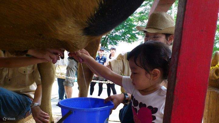 Mount Fuji Family-friendly One-Day Tour: Oishi Park, Lawson Convenience ...