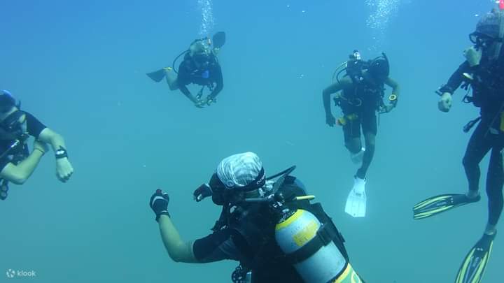 PADI Open Water Diver Course in Bali with PADI 5 Star IDC Resort - Klook