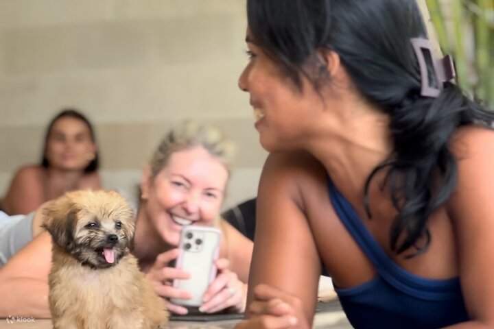 Puppy Yoga Class in Canggu Bali - Klook United States