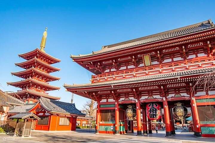 【Muslim-Friendly】Tokyo Private City Tour with Local Guide - Klook