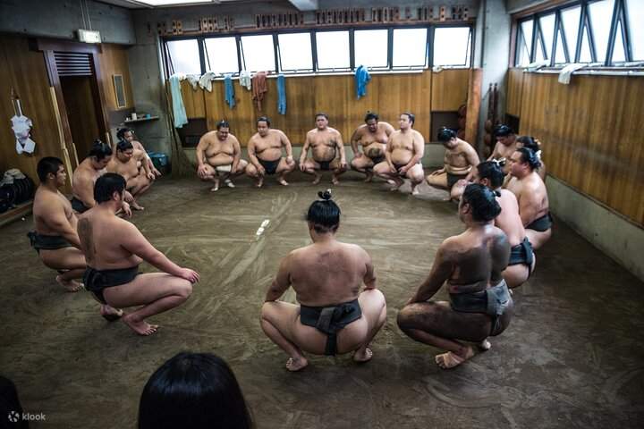 Sumo Morning Practice Viewing Tour (Tokyo) - Klook