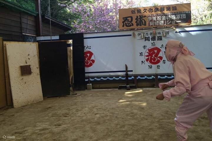 Iga Ninja Unique Experience One Day Private Tour from Osaka - Klook