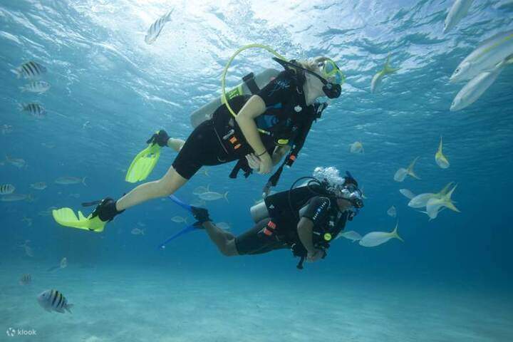 Hurghada - PADI Open Water Course - Klook Singapore