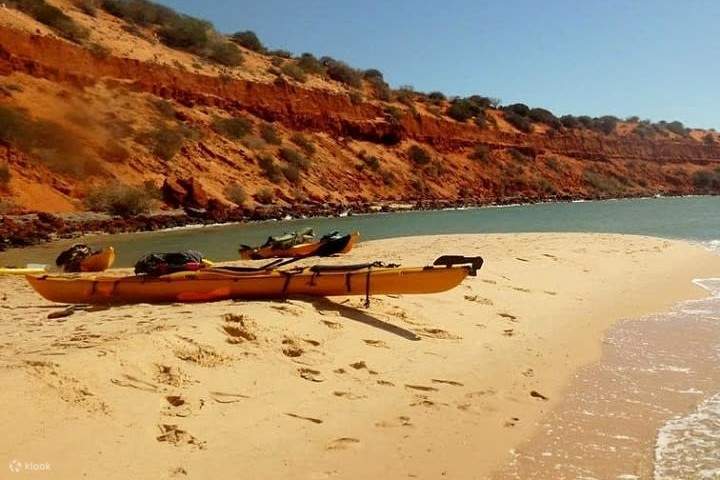 Paddle Boarding in Canning River Paddle Pass - Klook