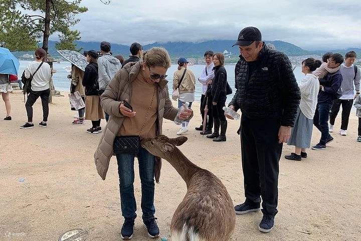 廣島宮島 7 小時私人旅遊(有政府許可的導遊) Klook香港