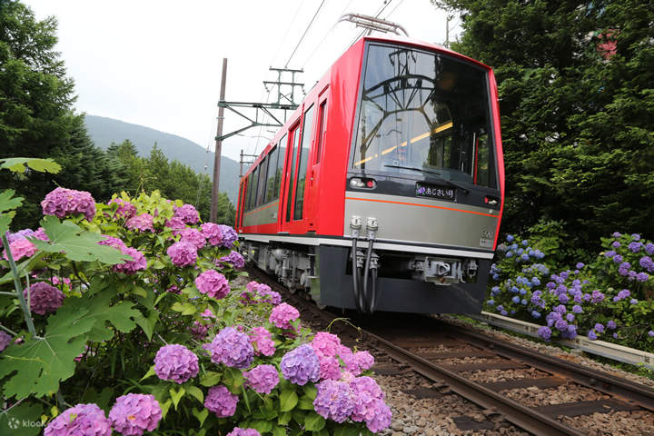 Hakone Hydrangea Train, Pirate Ship & Lunch at Hotel de Yama - Klook ...