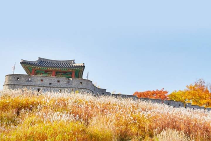 Suwon Historical Autumn Romantic Day Tour - Klook