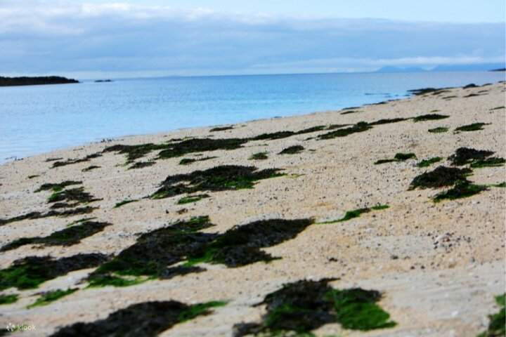 Explore Portree and the Isle of Skye with a Self-Guided Driving Tour ...